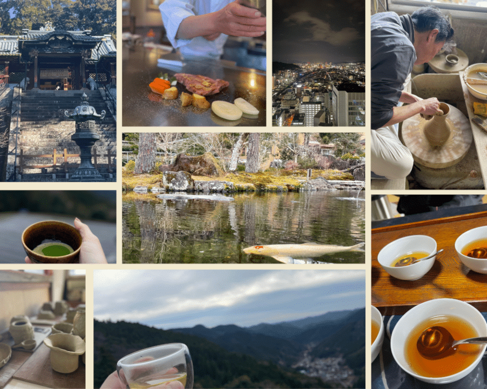 Discovering Suruga | Arigato Travel