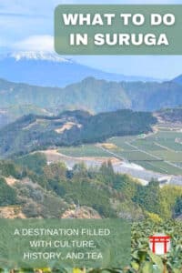 What To Do In Suruga: A Destination Filled With Culture, History, and Tea