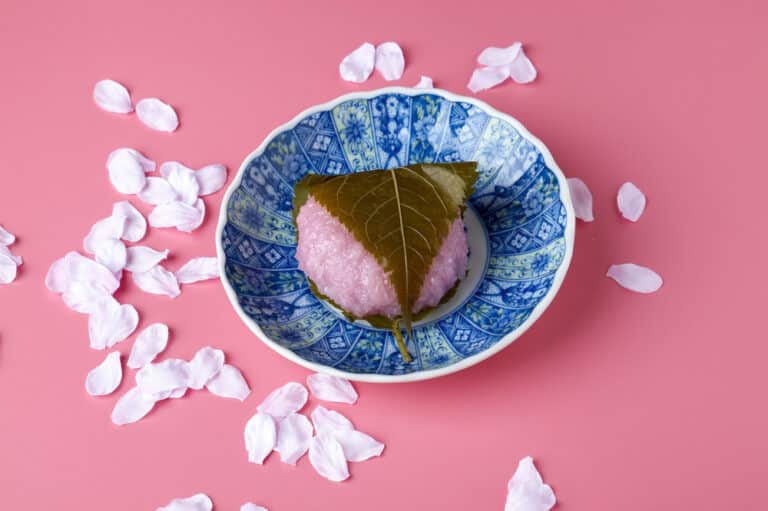 The World of Mochi: Can you Name them All?
