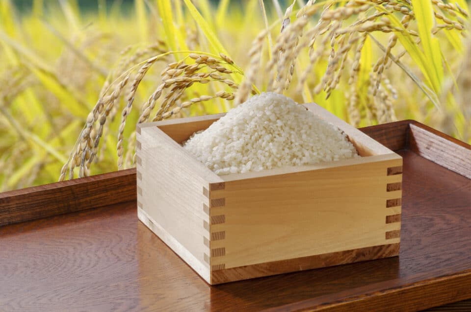 SACRED JAPANESE RICE: EXPLORING FAVORITE BRANDS | Arigato Travel