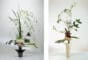 The Art of Ikebana