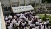 Bunka no Hi: A Celebration of Japanese Culture