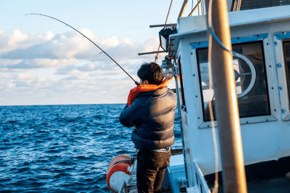 From Winter, Spring, Summer to Autumn, Everything to Do in Suruga ...