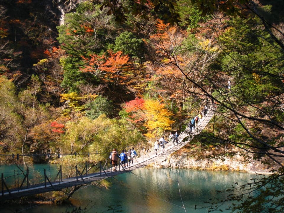 From Winter, Spring, Summer to Autumn, Everything to Do in Suruga ...