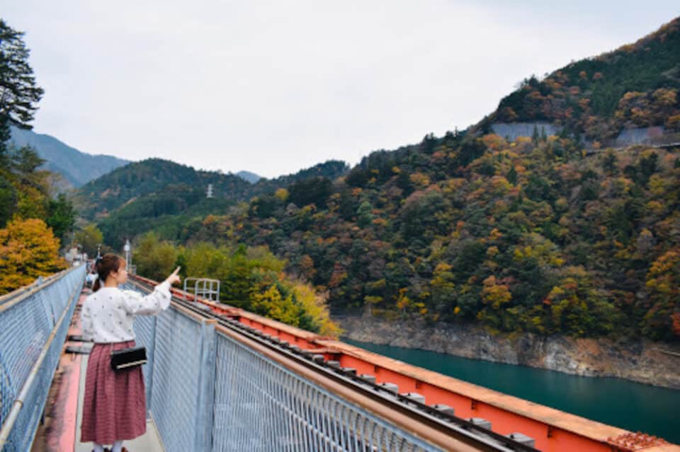 From Winter, Spring, Summer to Autumn, Everything to Do in Suruga ...