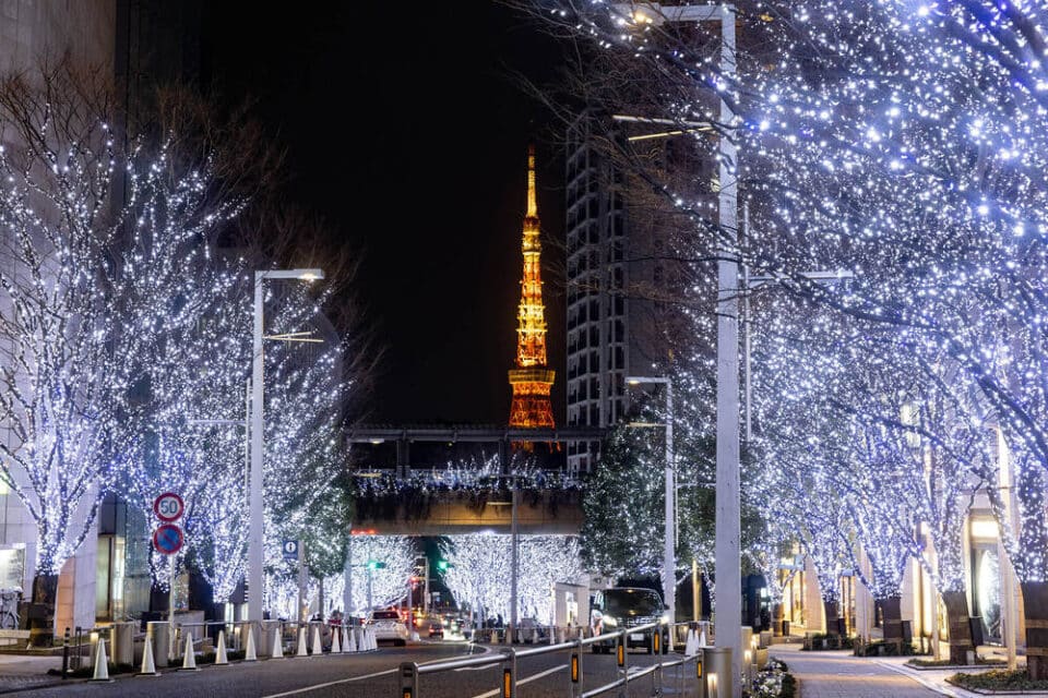 Discover the Magic of Winter and Christmas Illuminations in Tokyo