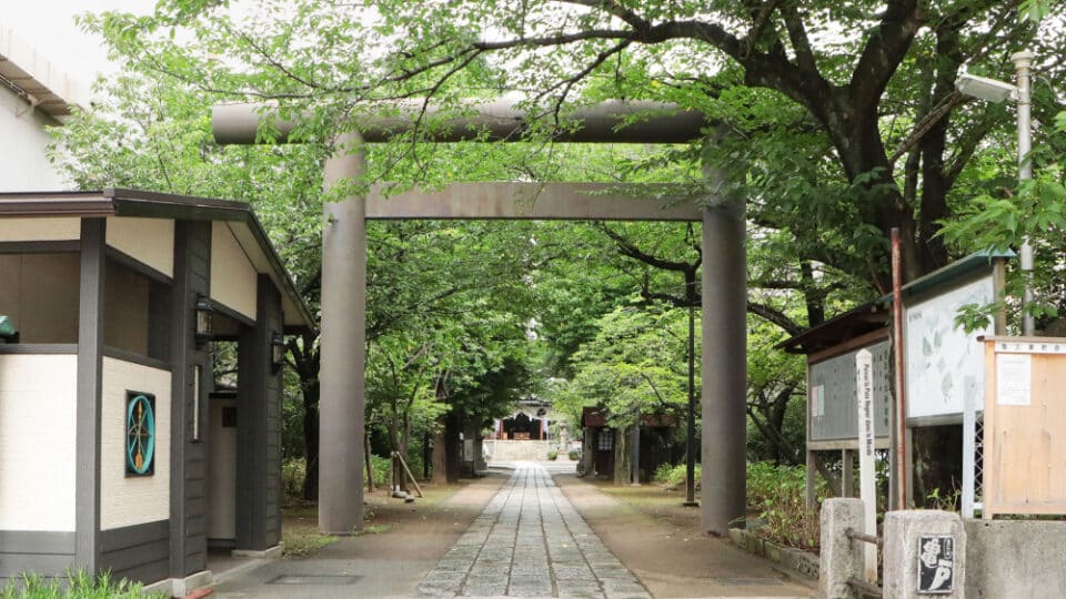 Things To Do in May in Tokyo 2025