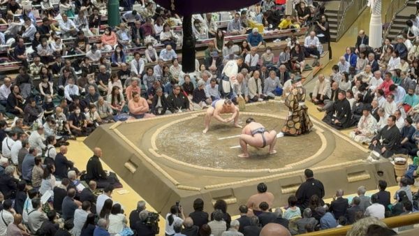 VIP Grand Sumo Experience with Konishiki: A Once-in-a-Lifetime Tokyo ...