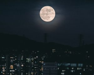 How to Celebrate Tsukimi: Japan’s Moon Viewing Tradition