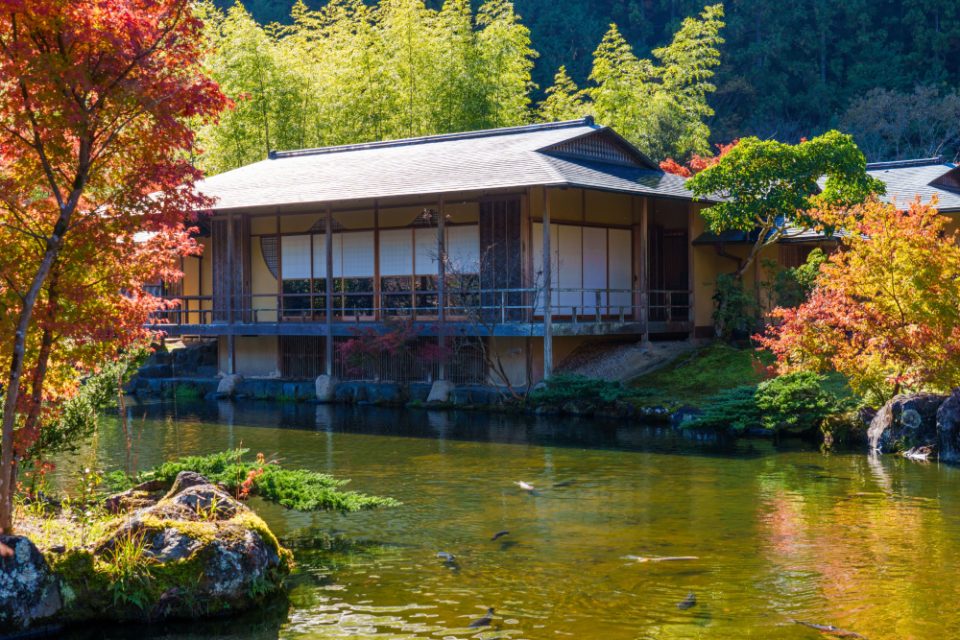 Discovering Suruga: Japan’s Hidden Gem for Tea, Culture, and Cuisine