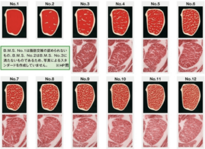 A FRIENDLY GUIDE TO JAPAN’S WAGYU REGIONS