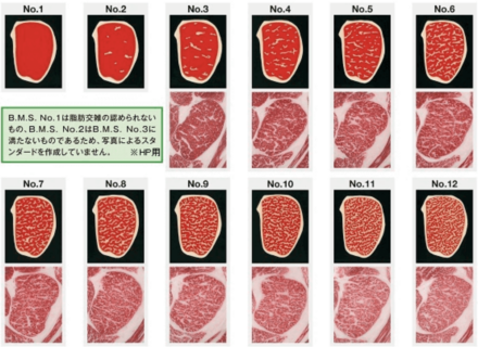 A FRIENDLY GUIDE TO JAPAN’S WAGYU REGIONS