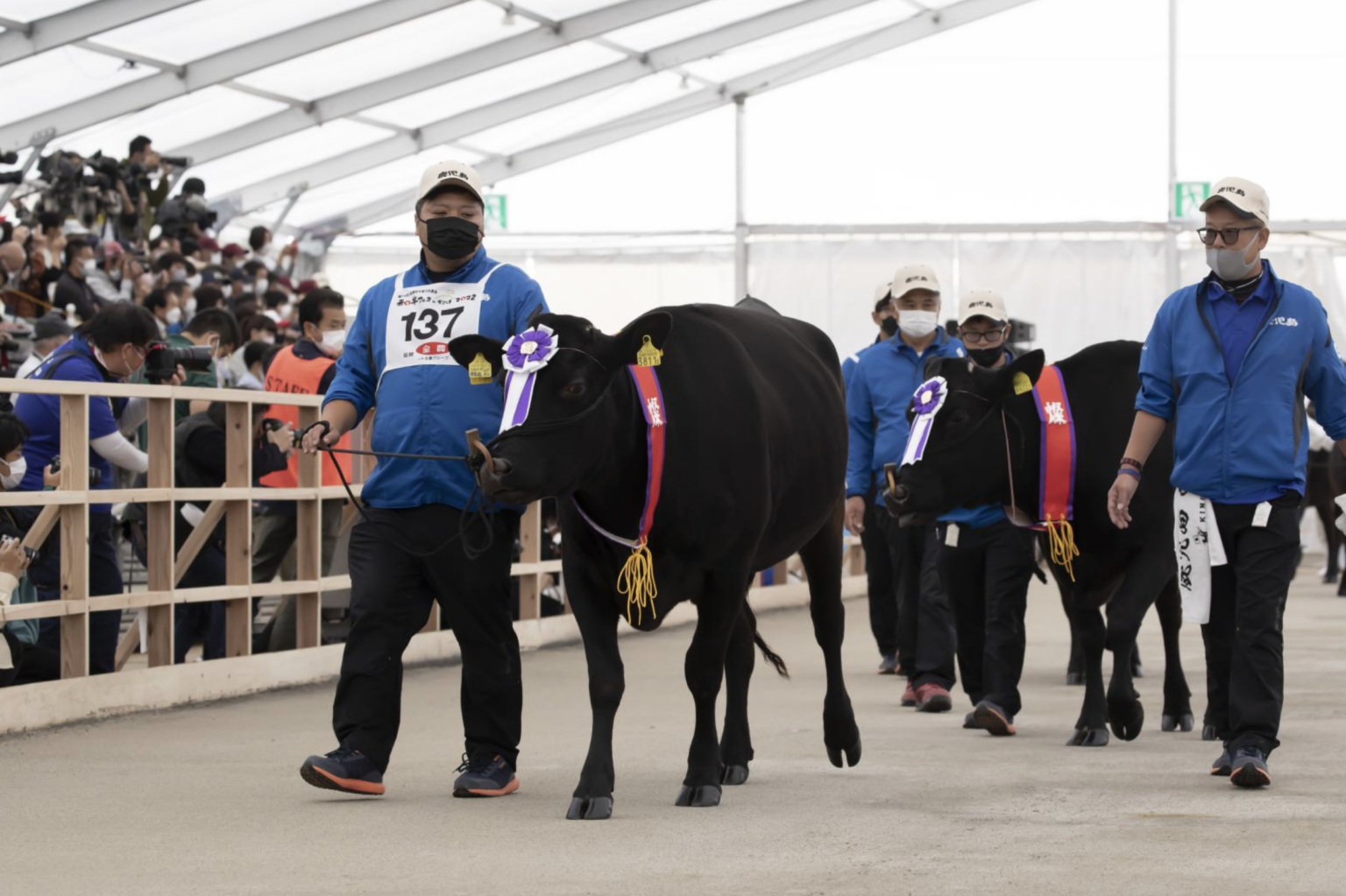 A FRIENDLY GUIDE TO JAPAN’S WAGYU REGIONS