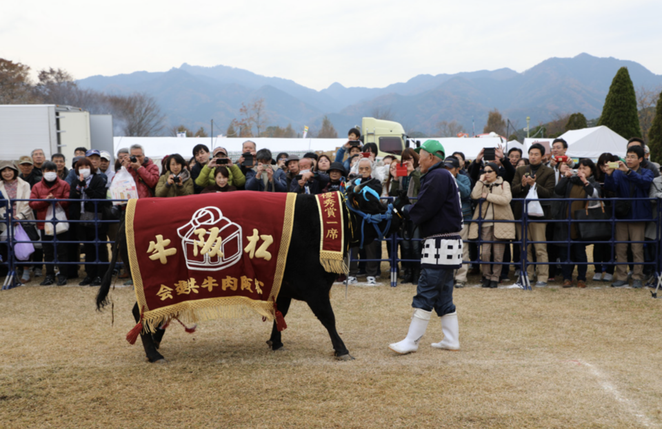 A FRIENDLY GUIDE TO JAPAN’S WAGYU REGIONS