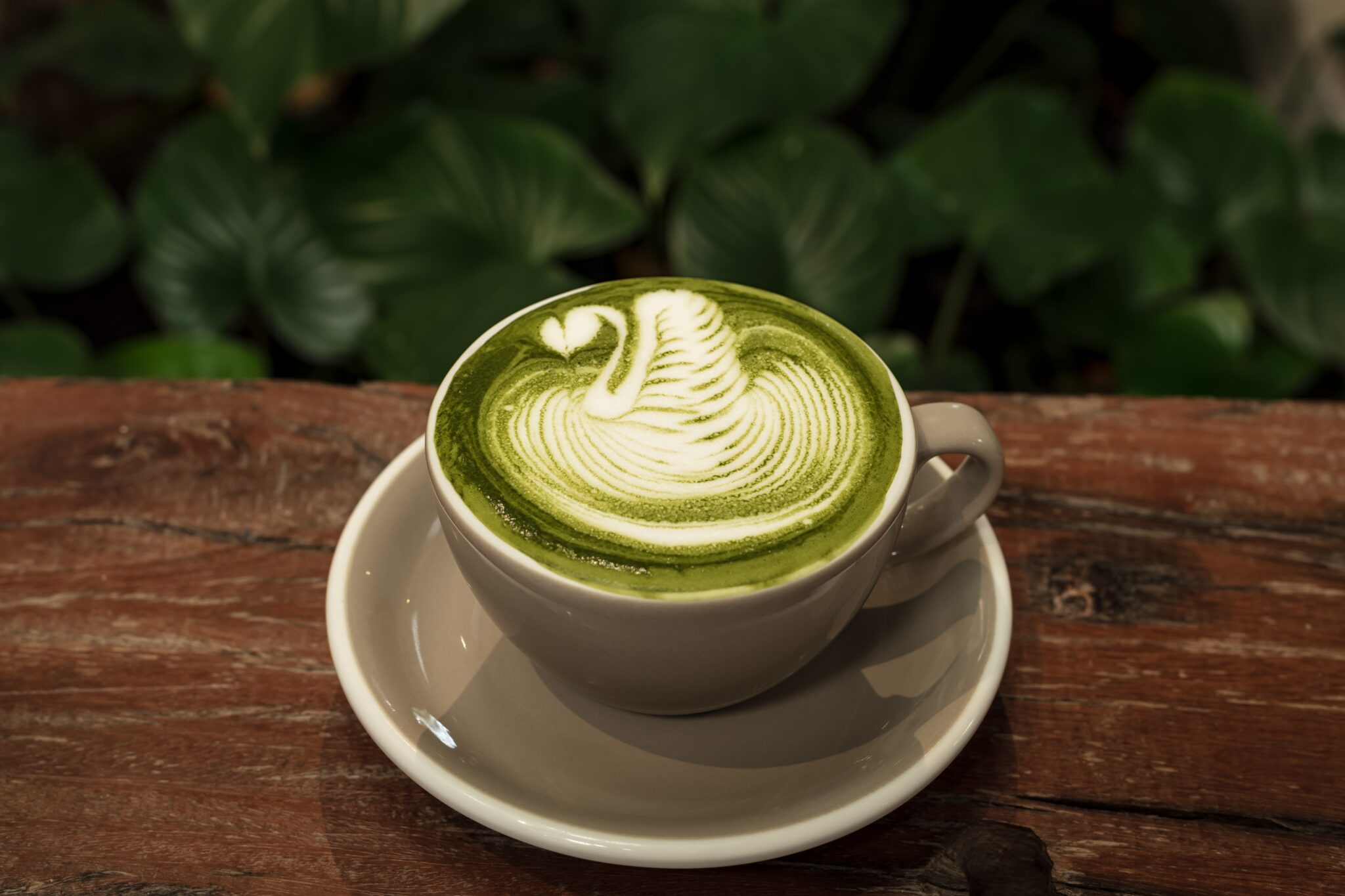 Japanese Winter Matcha Guide: Best Drinks, Desserts & Seasonal Finds ...